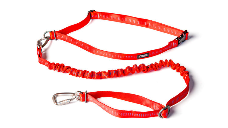 Stunt Puppy Stunt Runner™ Leash – Gear West